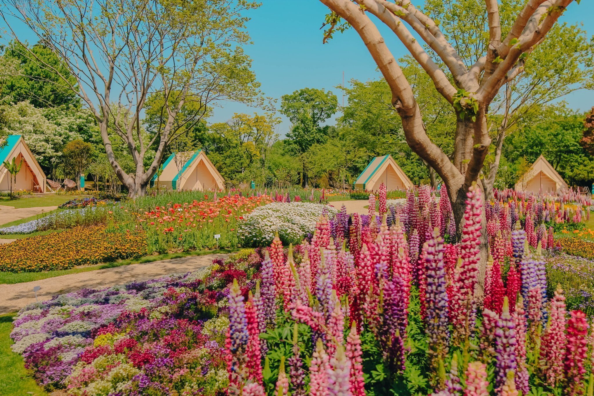 越南旅遊攻略 】簽證、交通治安、景點推薦、自由行注意事項 Wanderlust Annie